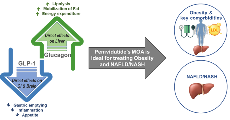 Pemvidutide | Altimmune