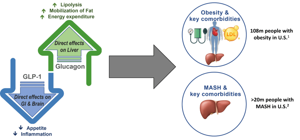 Pemvidutide | Altimmune