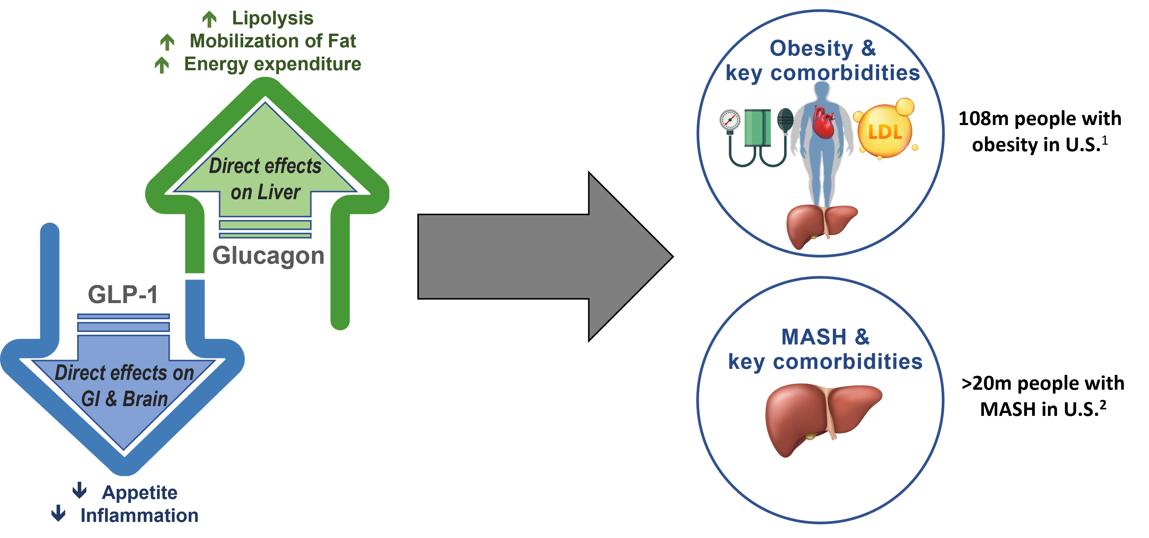 Pemvidutide | Altimmune